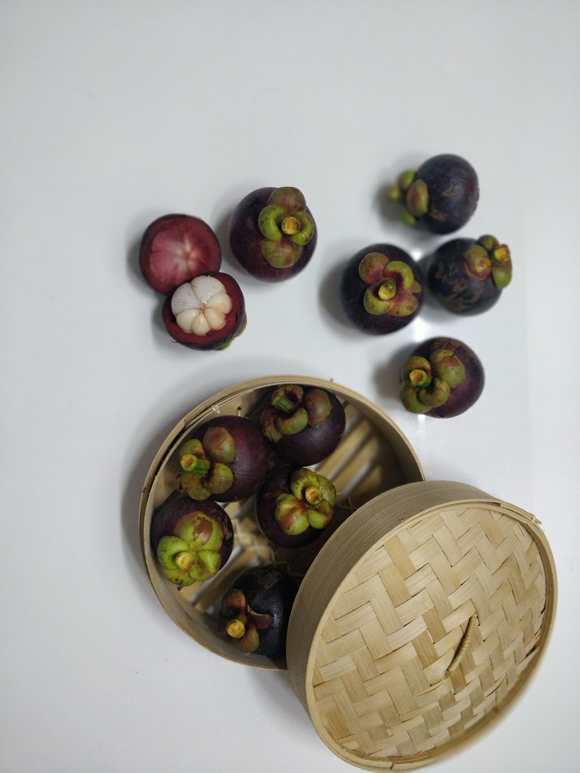 Plant Categories – National Rose Garden